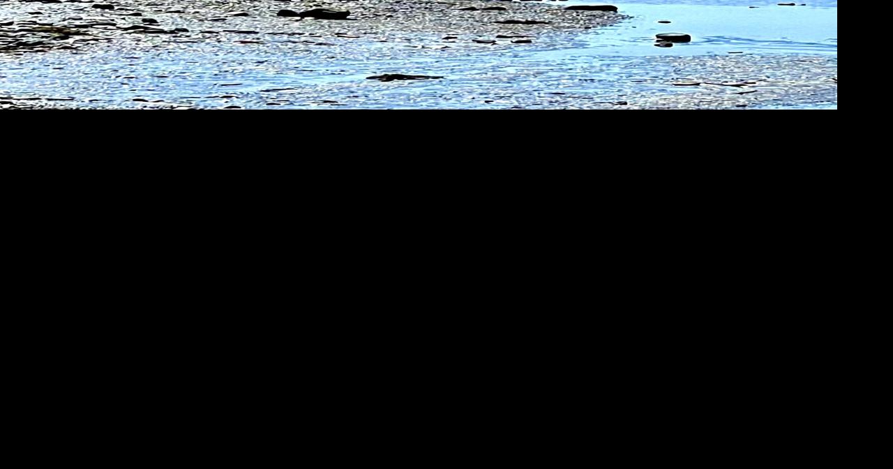 Elver nets | | mdislander.com