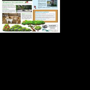 Page B6 | Digital Edition | mdislander.com