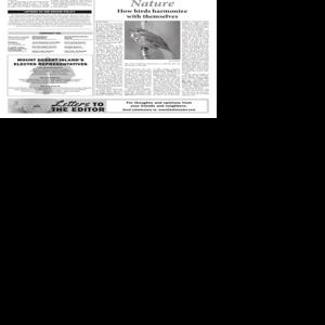 Page B4 | Digital Edition | mdislander.com