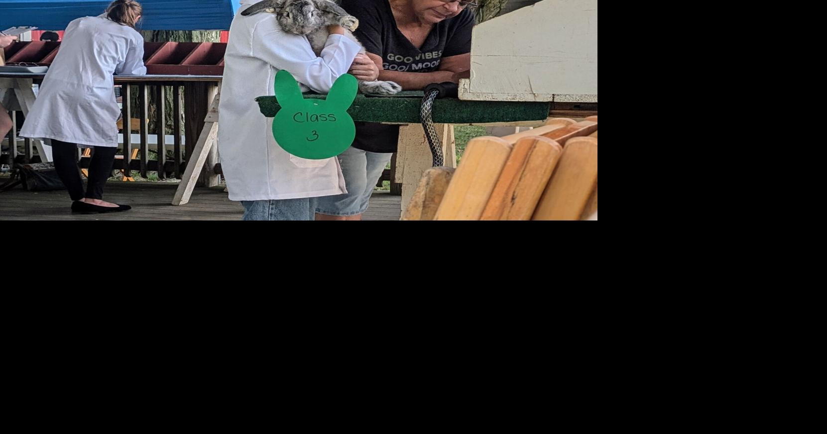 Rabbits take center stage | News | meadvilletribune.com