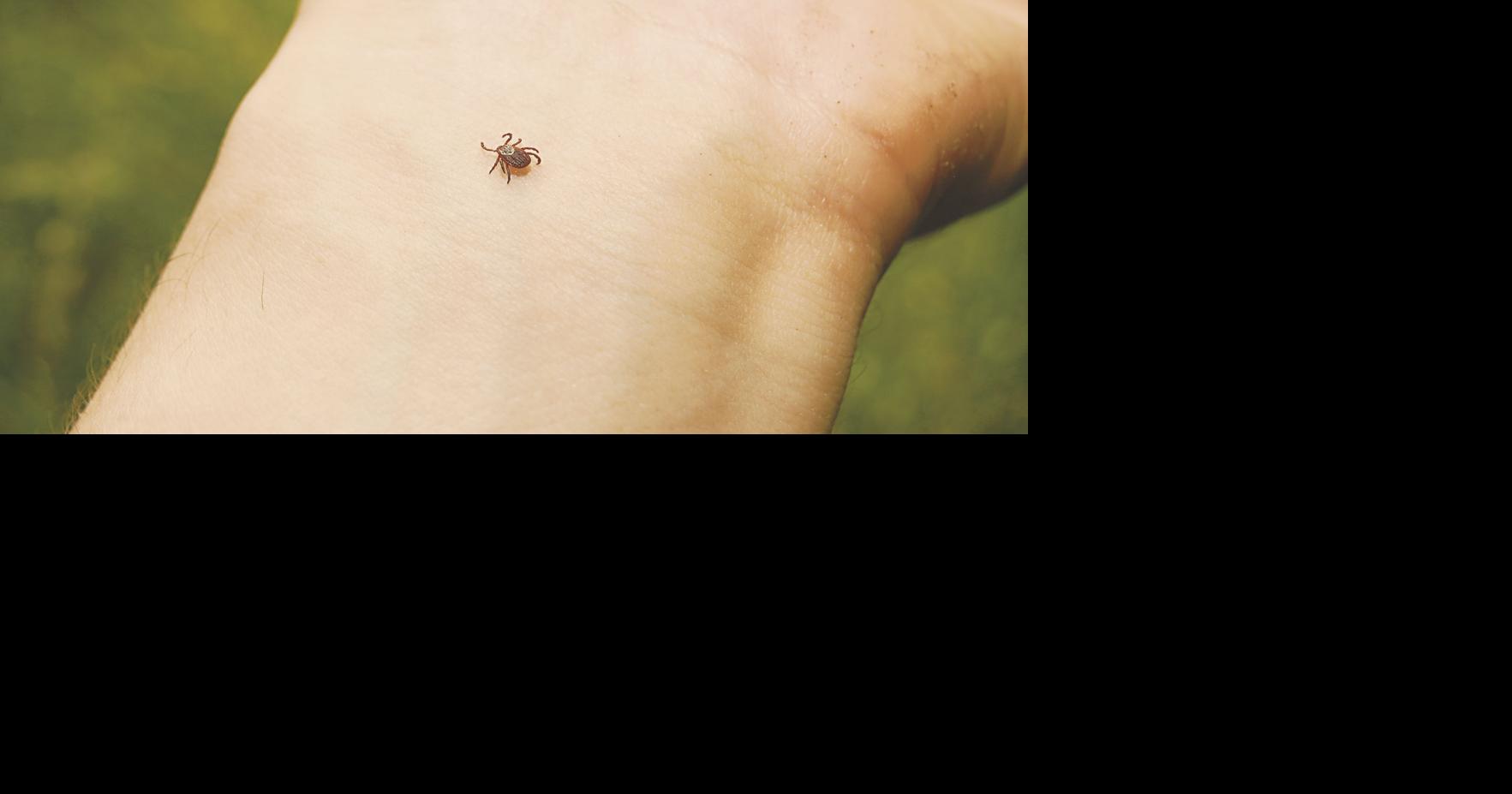 Follow basic precautions but don't let tick fear keep you from the ...
