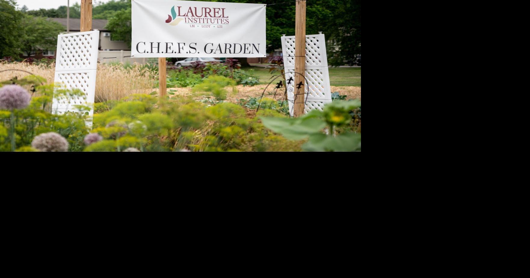 CHEFS Garden: Growing interest in culinary arts | News ...