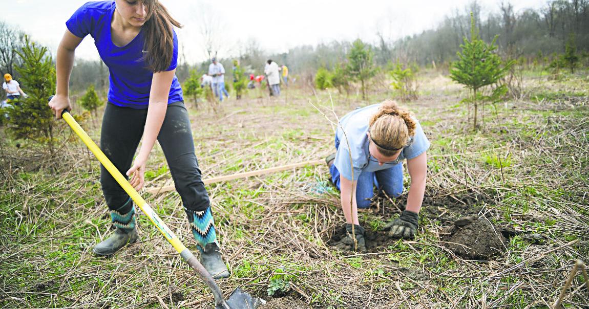Local student represented project includes planting of 60,000 trees and ...