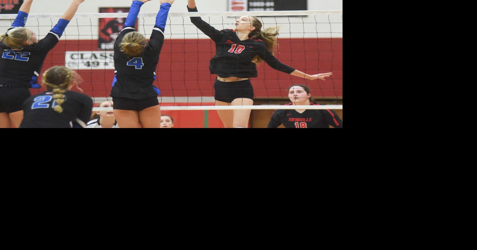 Bulldogs complete sweep of Hornets in Region 5 match | Sports ...