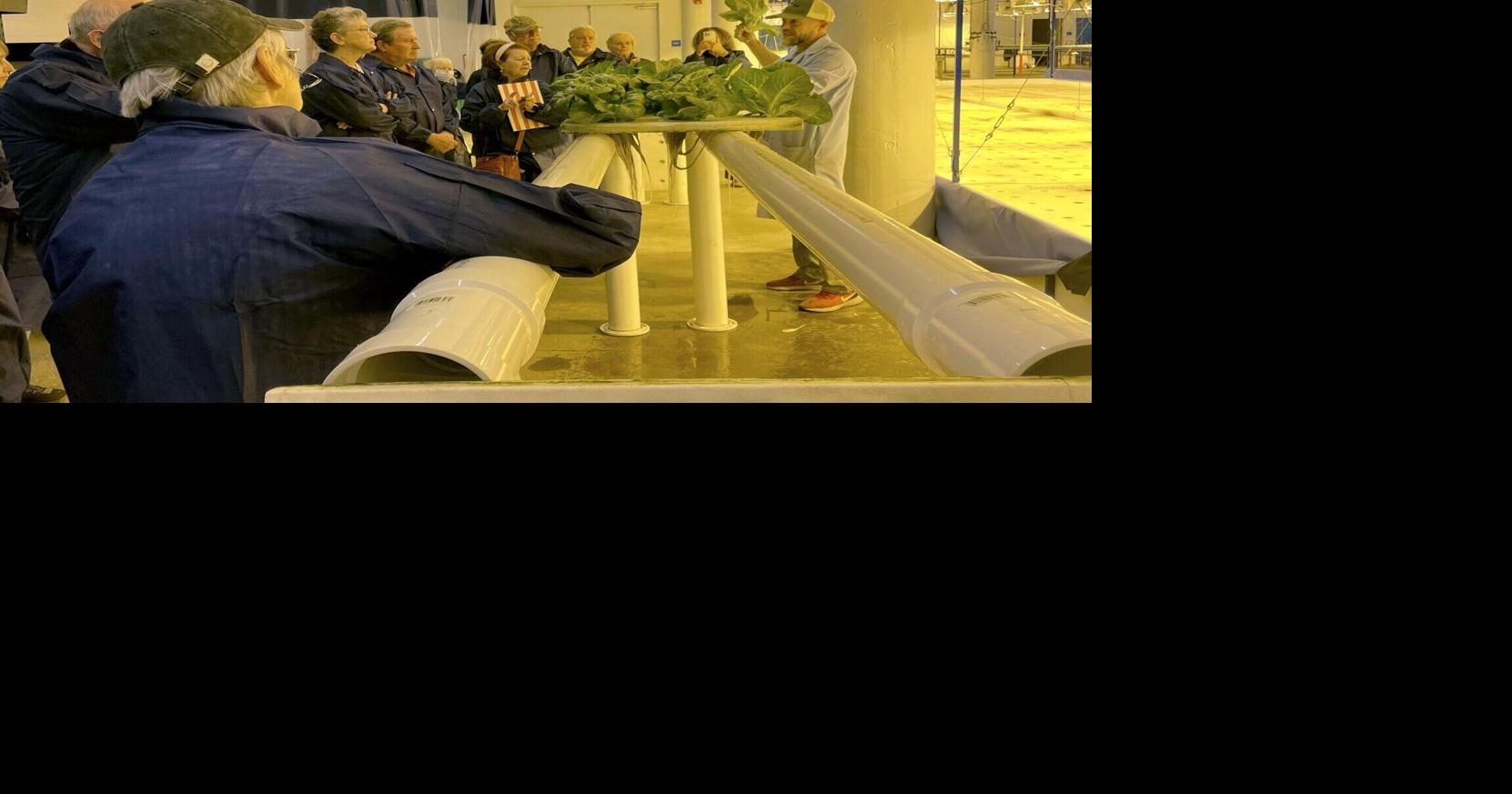 Urban ag company offers gaze into future | News | meadvilletribune.com