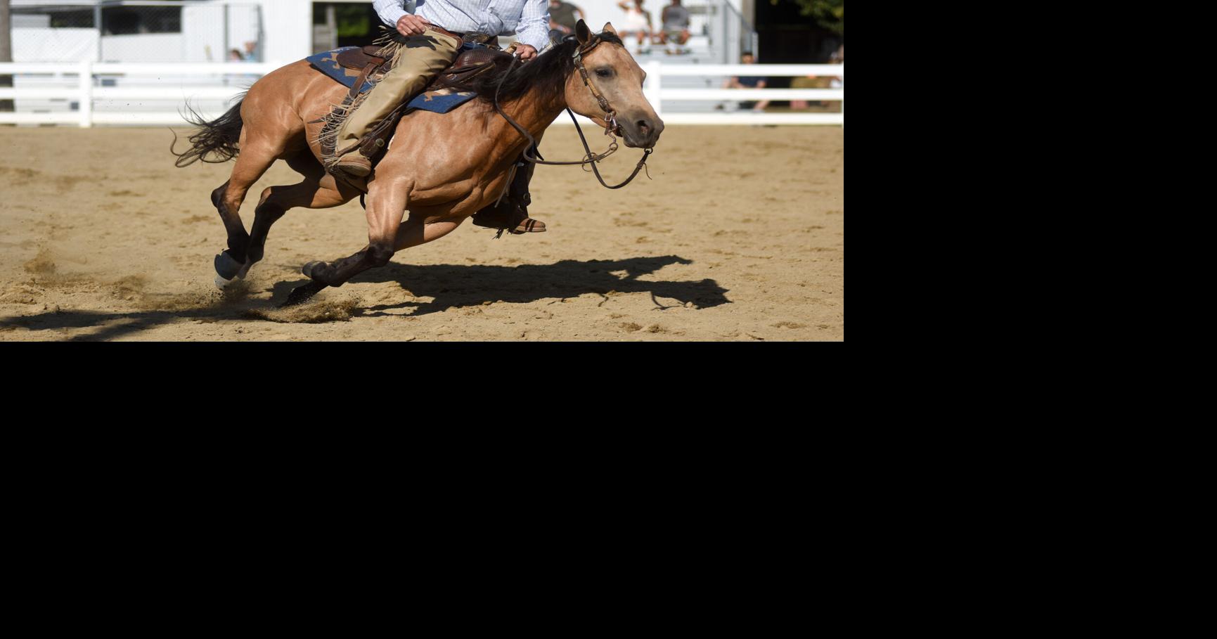 From Lincolnville to Trainer of the Year: Shauna Brown returns to her ...