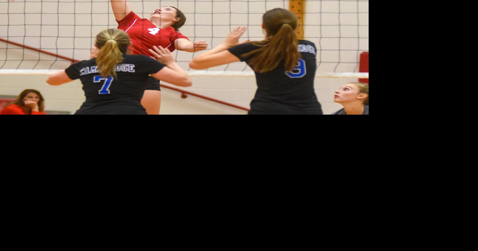 Local Roundup: Cochranton sweeps Eisenhower at home | Sports ...