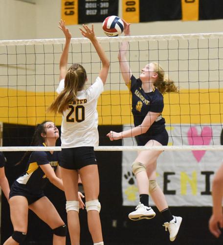 New coach, new region, new-look Panthers | Local Sports ...