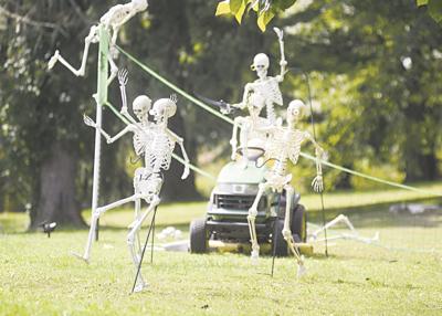 skeleton display