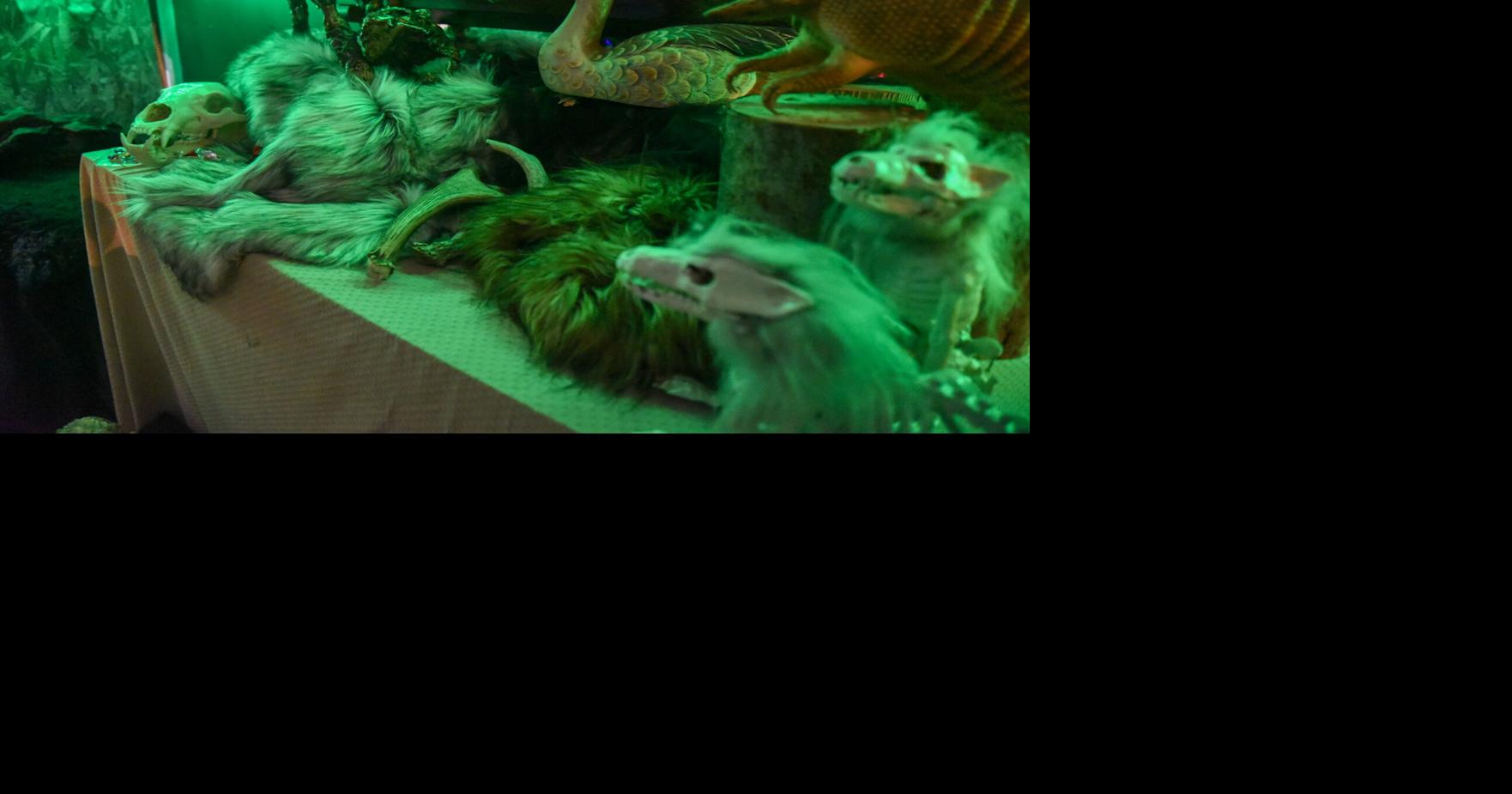 SLIDESHOW: Mickle's Haunted Barn in Linesville | Local News ...