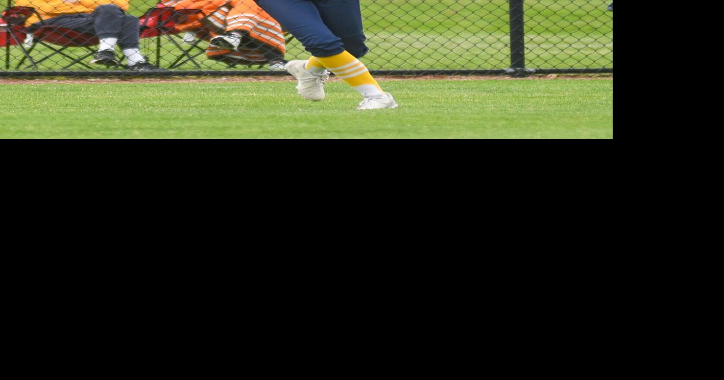 Bobcats overpower Panthers 9-0 in 2A semifinals | Local Sports ...