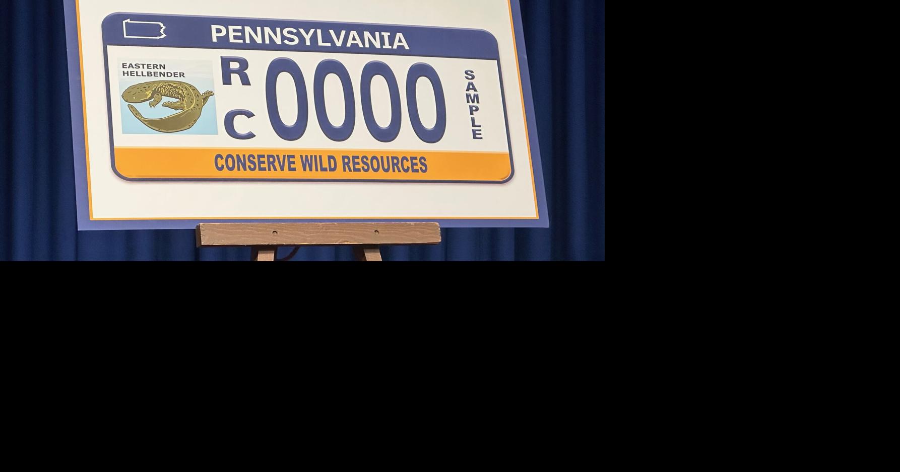 Hellbender gets prime spot on new state license plate | News ...