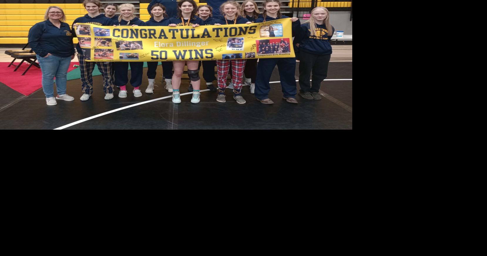 Local roundup: Panthers place fourth at North Allegheny | Sports ...