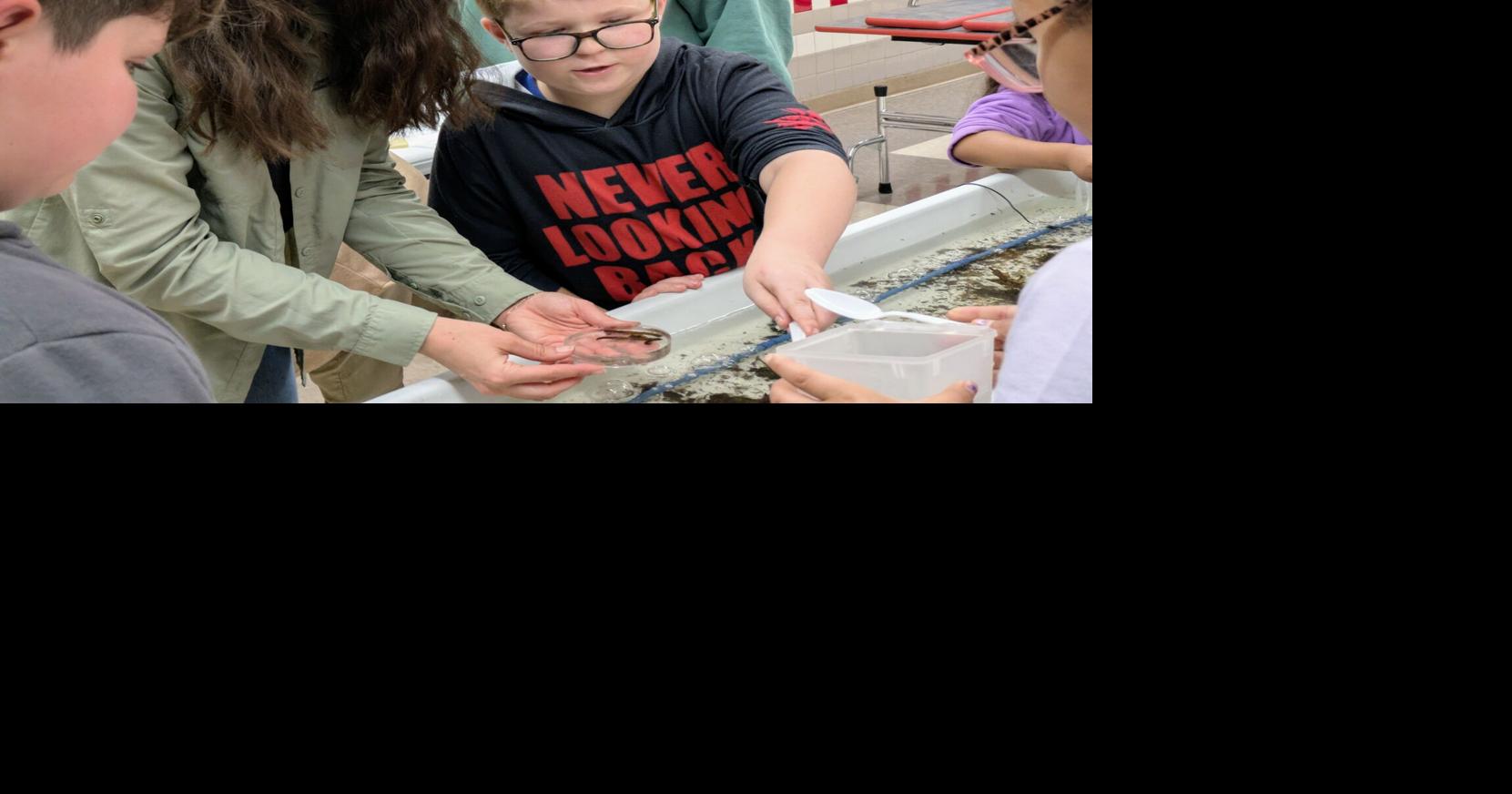 STEM Fest at the Cardinal Nest: Cochranton celebrates science ...