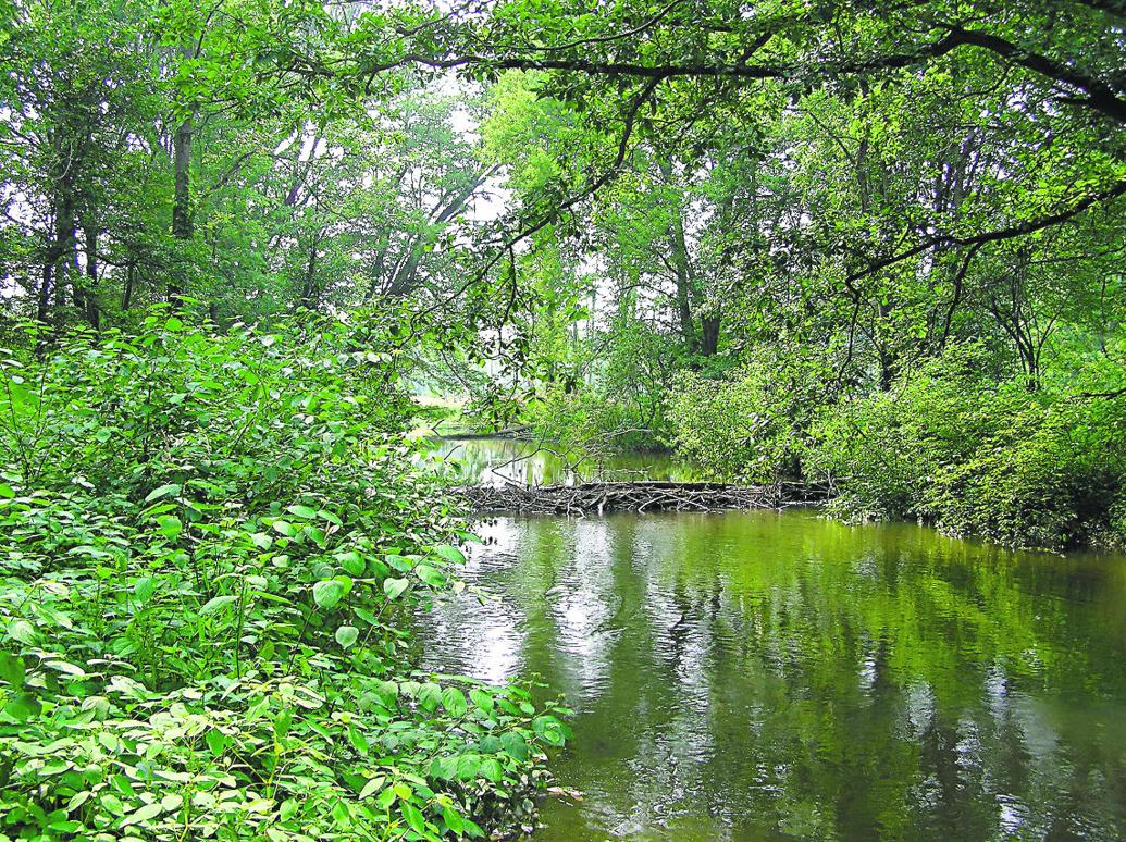 Area French Creek watershed properties get permanent protection | Local ...