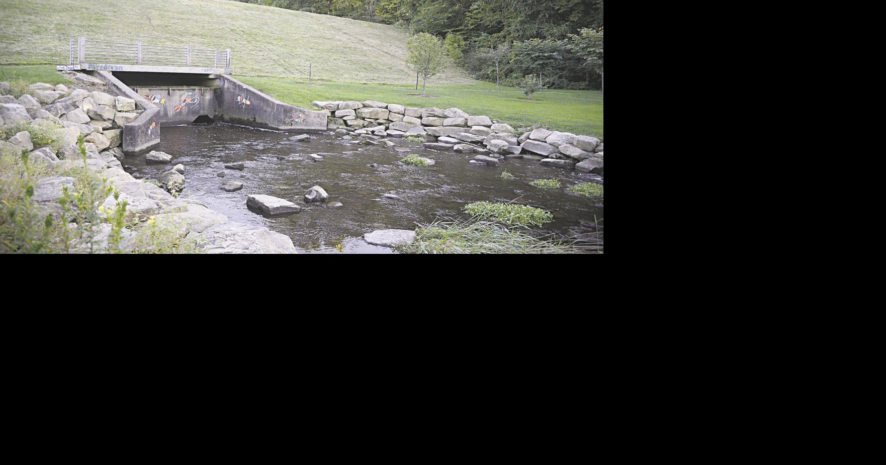 Meadville leaders move forward with design phase to rehab dam that ...