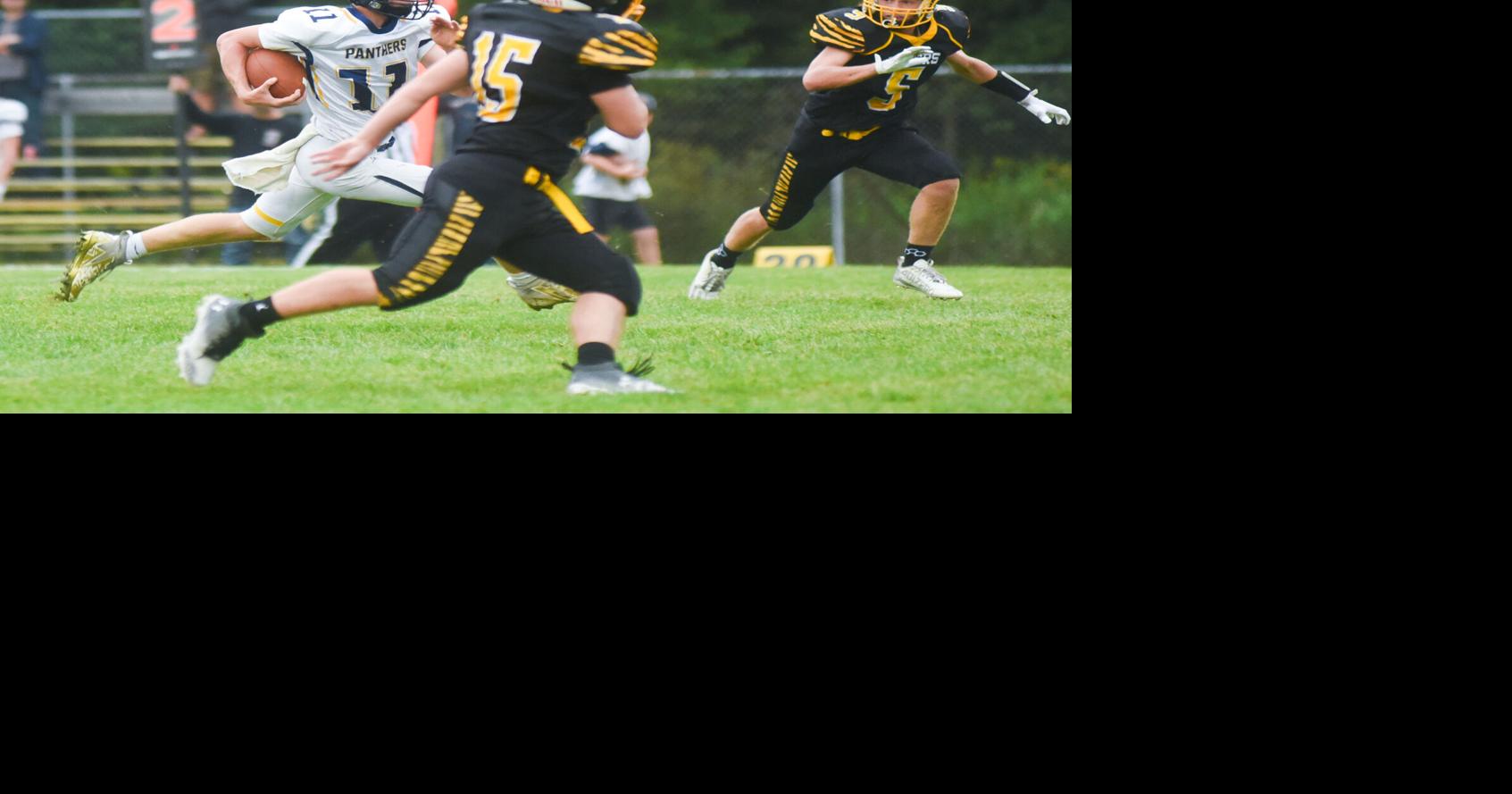 Claw of Panthers defeat Tigers | Sports | meadvilletribune.com