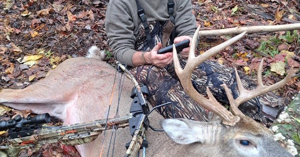 The rut and November archery hunting: The good and bad | News ...