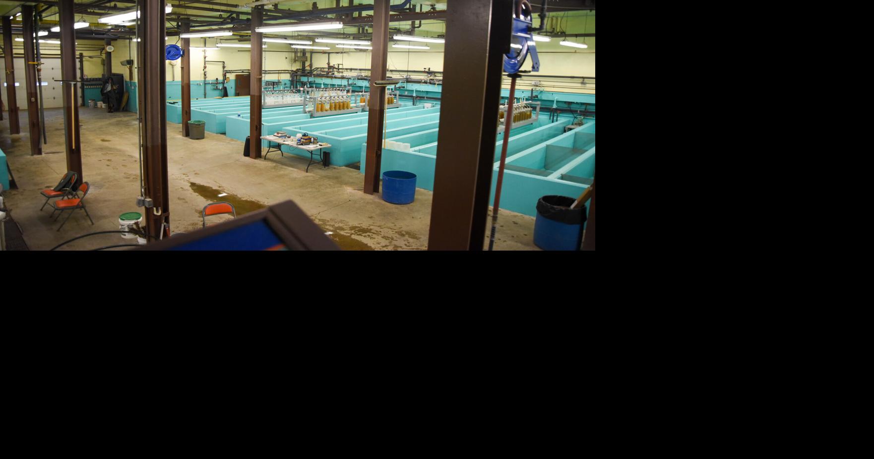 Fish hatchery's open house is Saturday | News | meadvilletribune.com