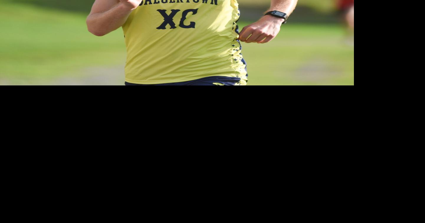 Panthers look for more leadership amid changes | Sports ...