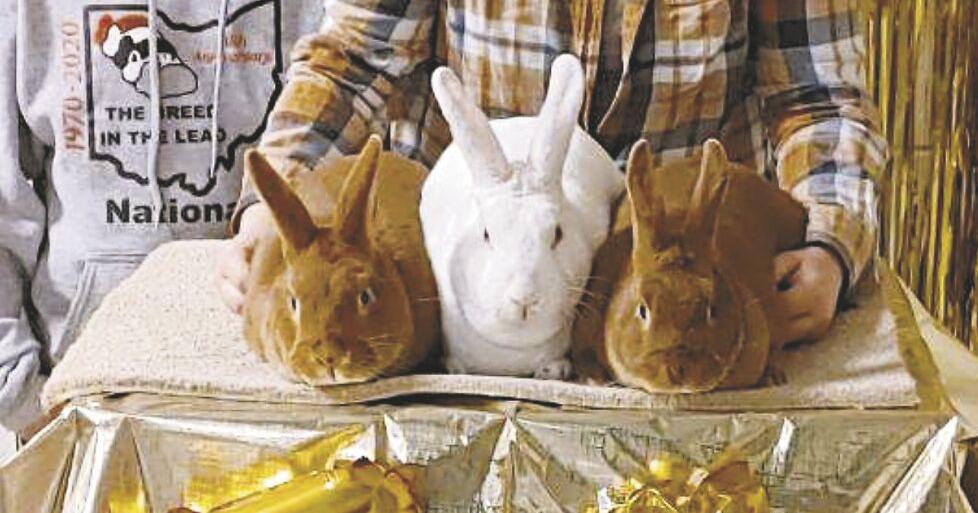 Two county kids win big at national rabbit show | News ...