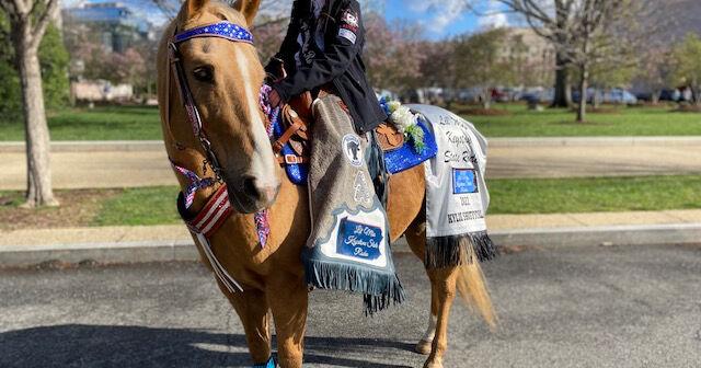 Lil’ Miss Keystone State Rodeo attends Cherry Blossom Parade ...