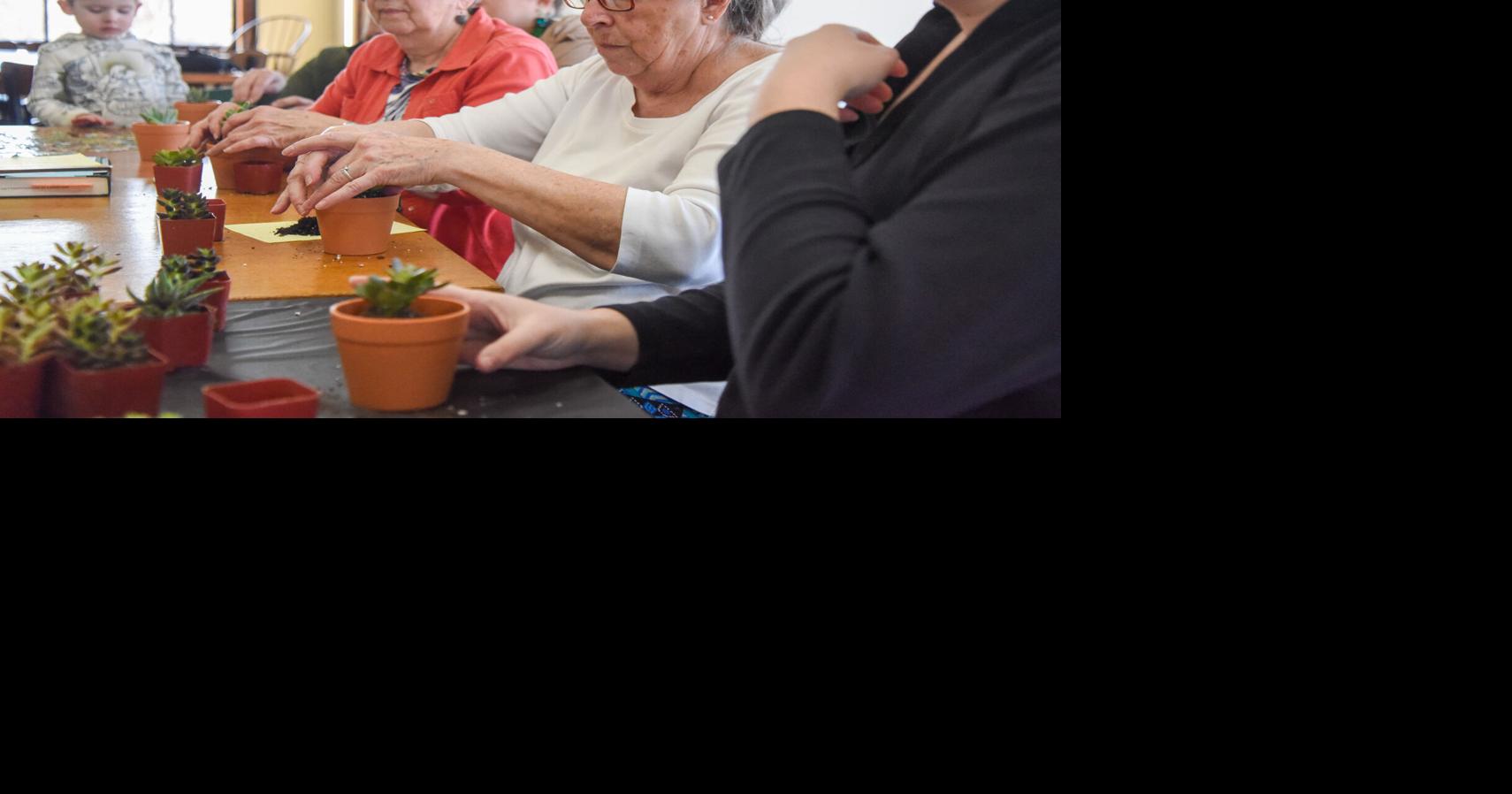 Meadville Public Library’s spring programming looks to facilitate ...