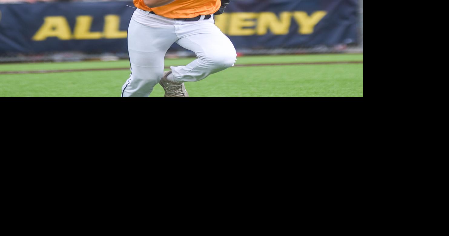 Self-inflicted wounds doom Panthers in title loss | Local Sports ...