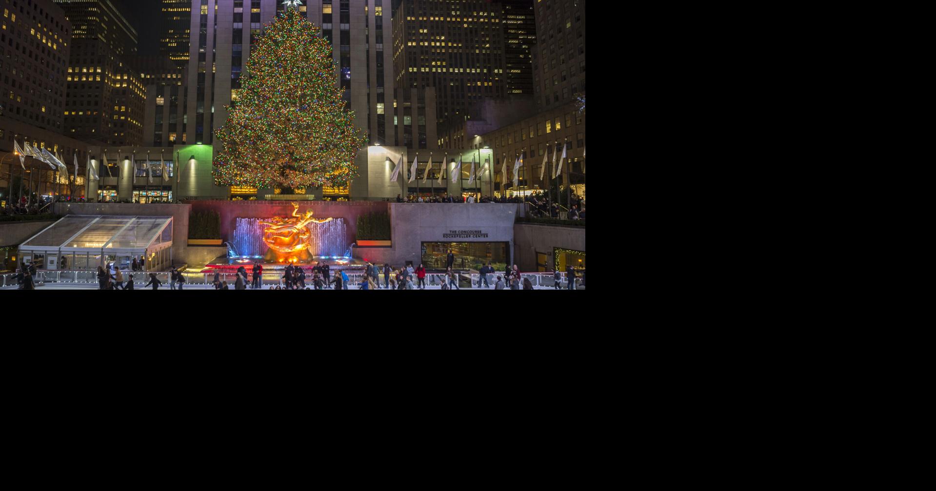 No Place Like Home for the Holidays? Nearly 50% Of Americans Plan To ...