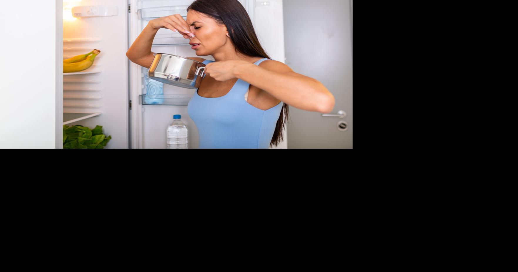 Leftovers in the Fridge: Reheating Food Safely | Food | mediadecision.com