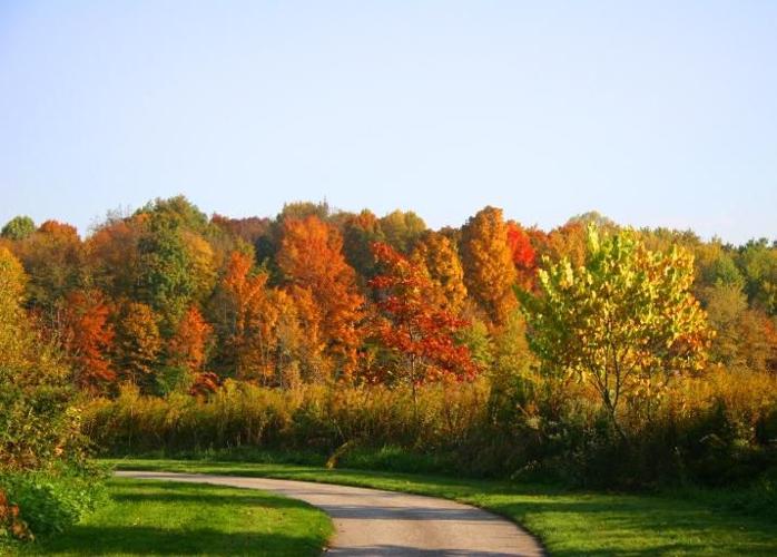Medina County Fall Foliage Tour: Buckeye Woods Park | Communities ...
