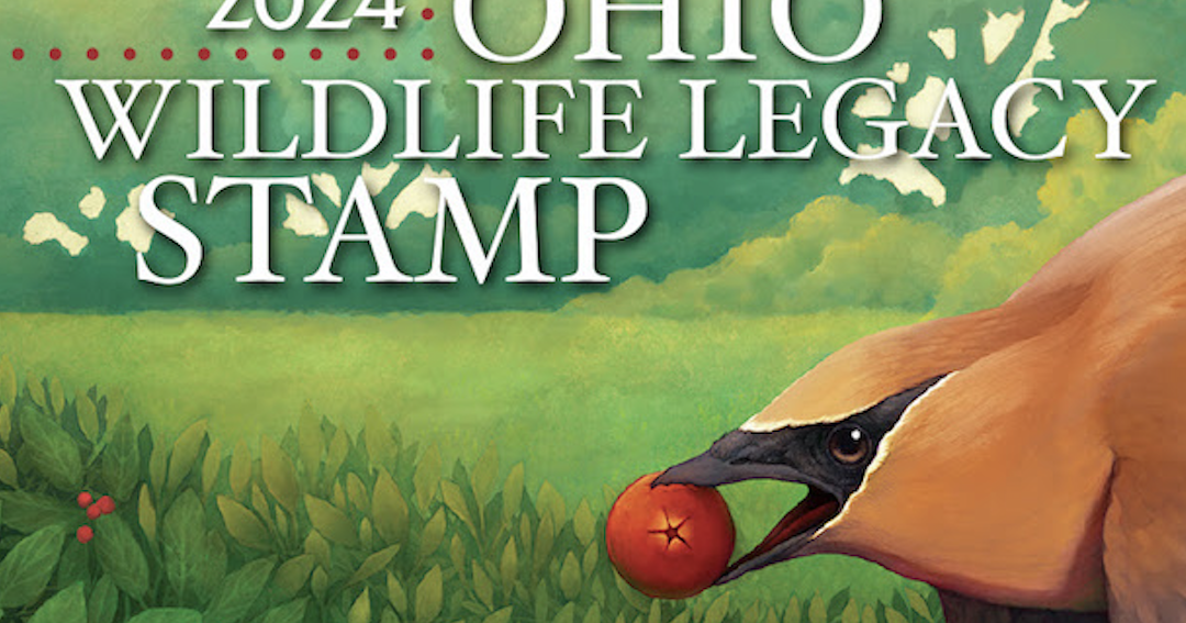 Purchase Your 2024 Ohio Wildlife Legacy Stamp Today | Birds ...