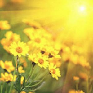 Obituary for Ruth Louisa Basch Medina Ohio | local obits ...