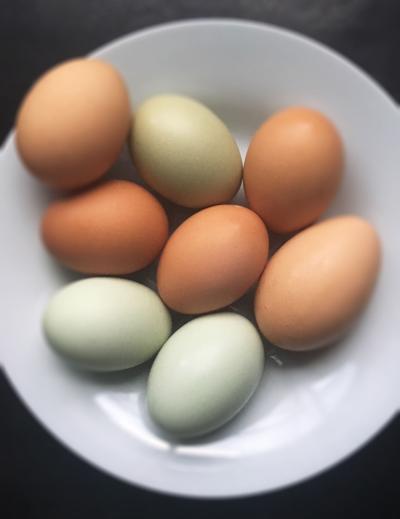 Capture: Spring Eggs | Medina County Ohio News | medinacountylife.com