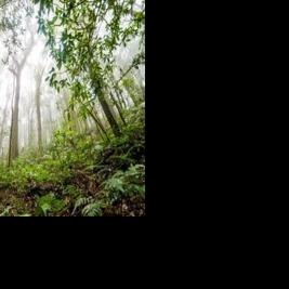 Experience the Rewards of Trekking Through Autumn in Medina County Ohio ...