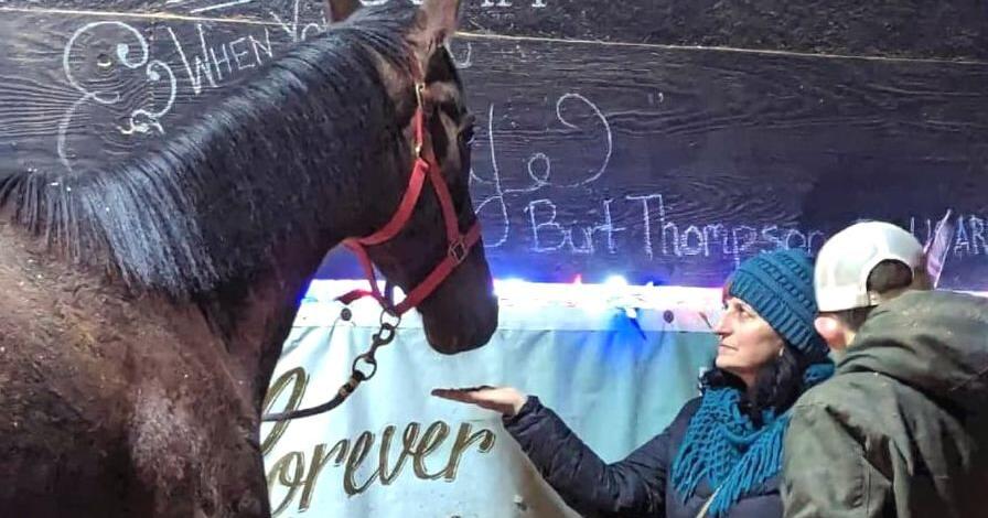 Saddle Up to Explore the Charm of Forever Amber Acres | News ...
