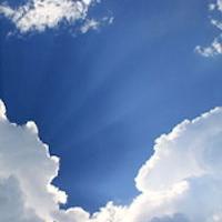 Darlene M. Meek | local obits | medinacountylife.com