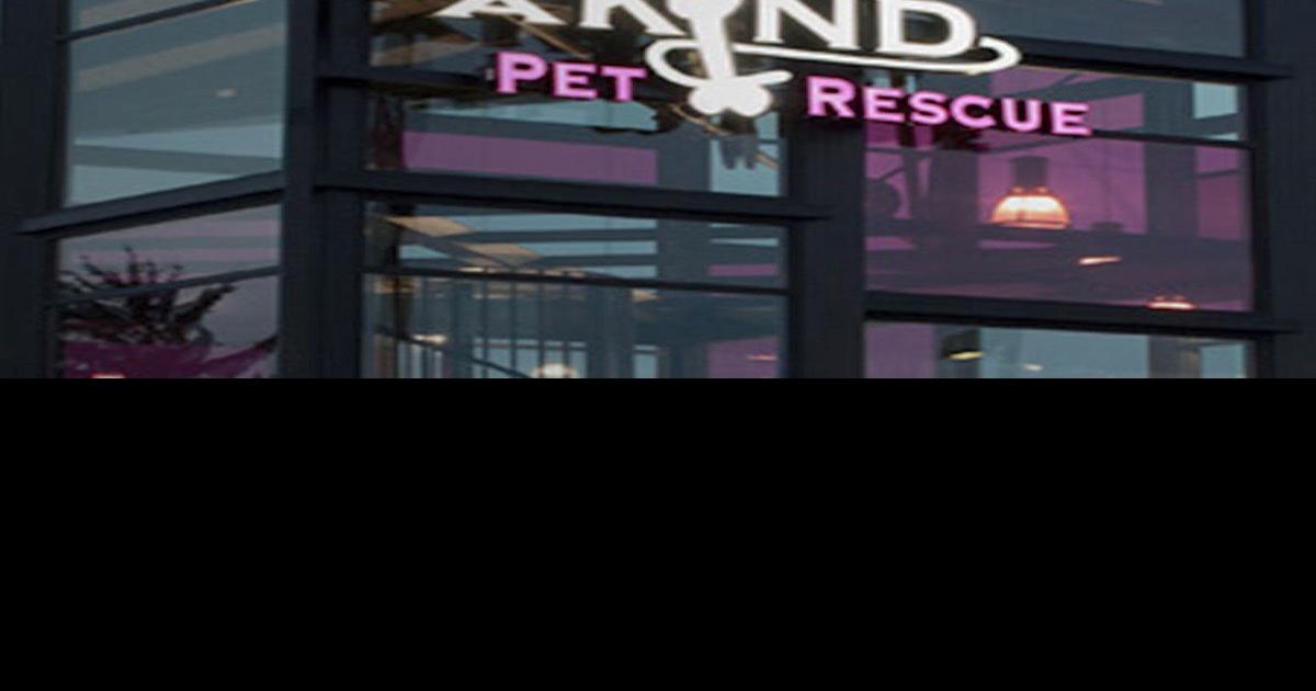 One Of a Kind Pet Rescue Offers Hope to Cats, Dogs | Pets ...