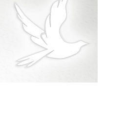 Rose Anna Fowler, 91 | local obits | medinacountylife.com