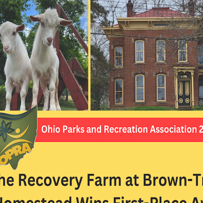 medina parks and recreation