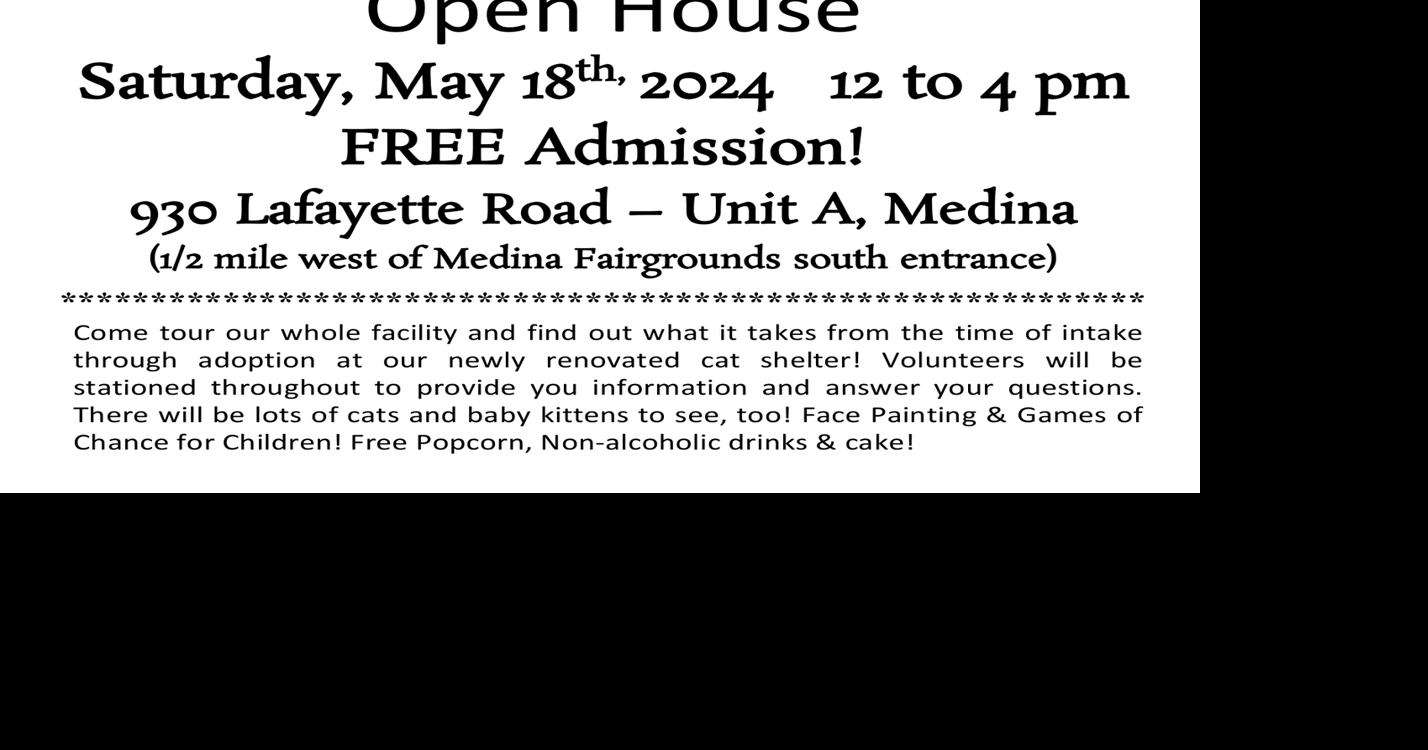 SATURDAY MAY 18 - Kitten Krazy is Celebrating their 20th Anniversary ...