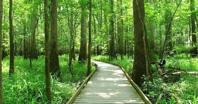 Enjoy the Beauty of Medina County Park District Trails | Medina County ...
