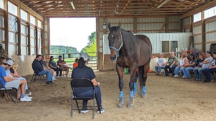 Forever Amber Acres in Medina is Humans, Horses Healing Together ...