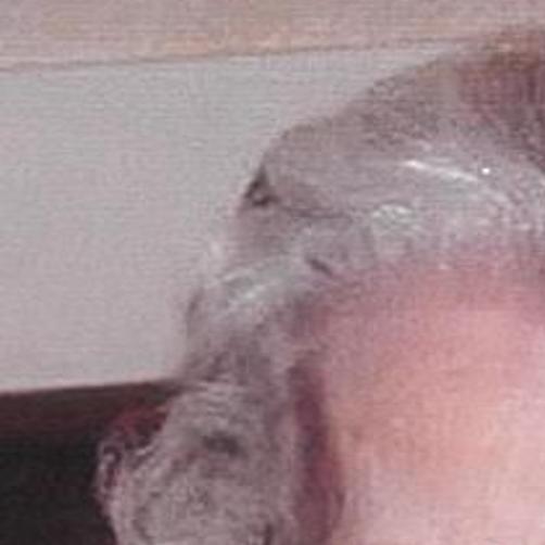 Barbara Kruk's Instagram, Twitter & Facebook on IDCrawl