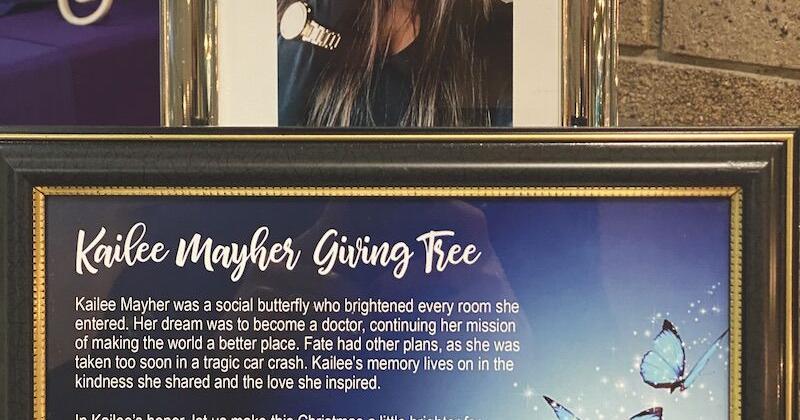 The Effort to Make Driving Safer, and Our World a Better Place: That's ...