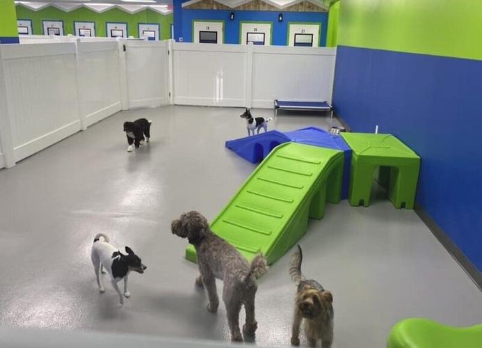 Brunswick's Hounds Town USA Offers Pampering & Play for Pups | Pets ...
