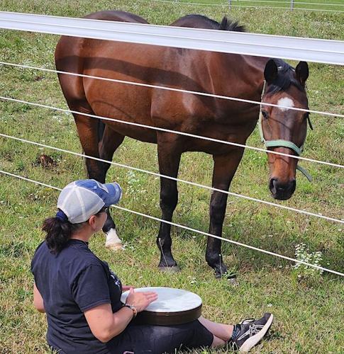 Forever Amber Acres in Medina is Humans, Horses Healing Together ...
