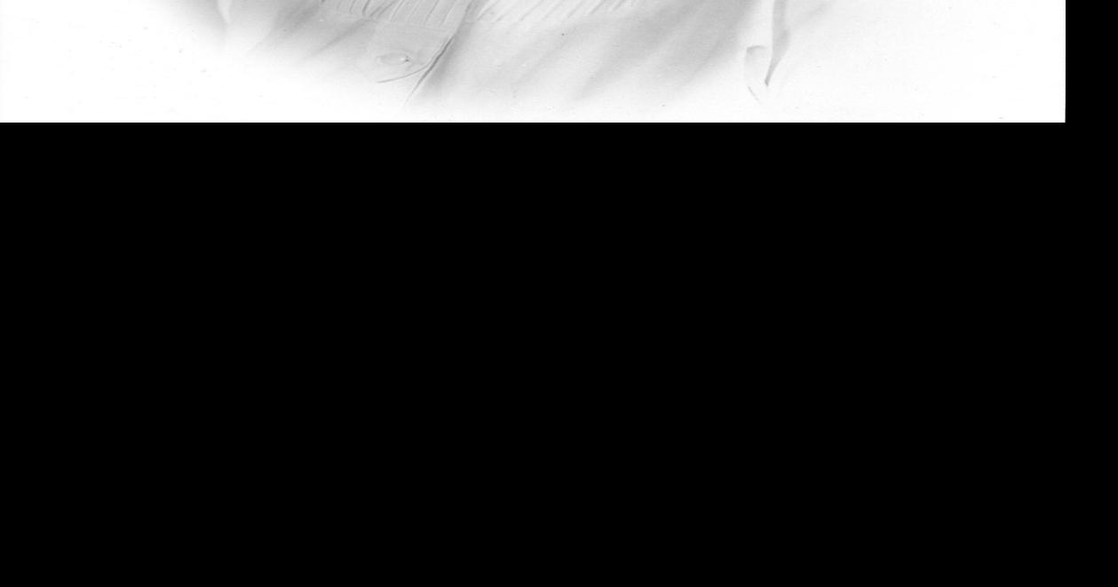 Janet Weaver | local obits | medinacountylife.com