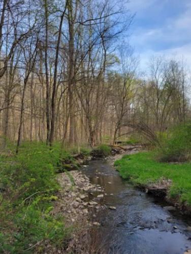 Medina County Park District New Parks and Upcoming Projects | Medina ...