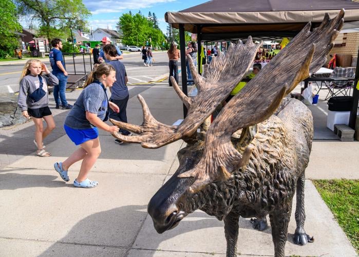 Cook Timber Days | Gallery | mesabitribune.com